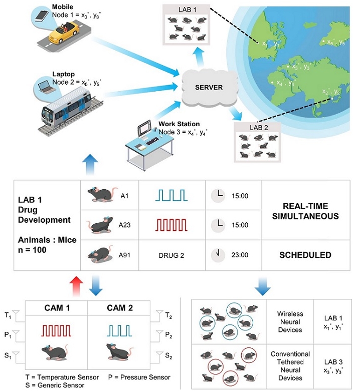 KAIST, IoT 기반 뇌 신경회로 원격제어 시스템 개발
