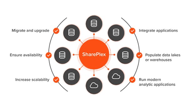 퀘스트, 쉐어플렉스11 정식 버전 출시